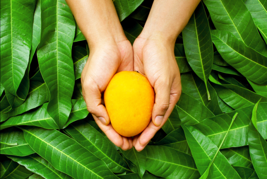 Palladium is a name synonymous with premium luxury retail.